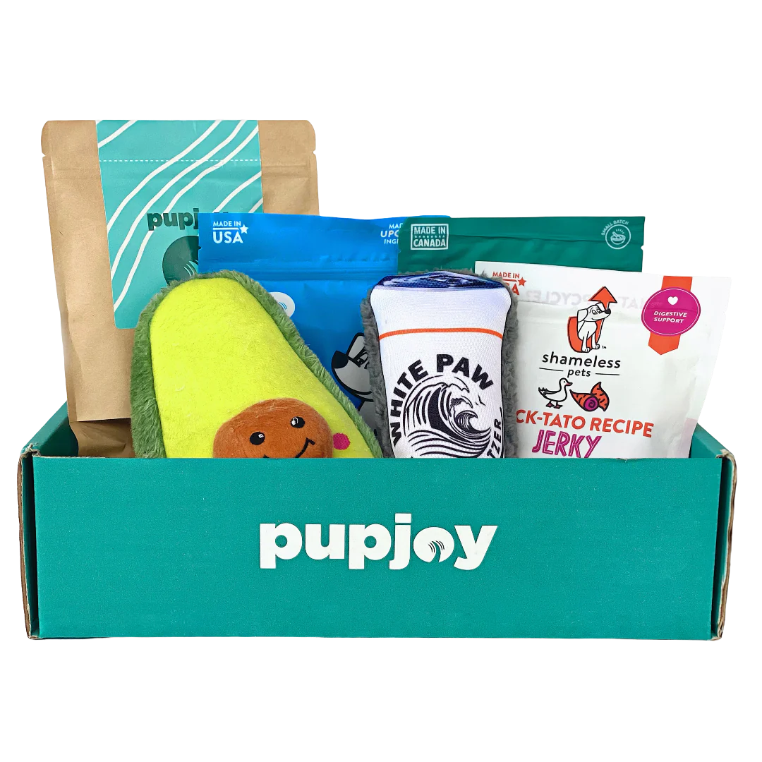 Best Dog Birthday Boxes To Purchase Online | Wags and Wine – Wags & Wine